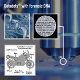 Motorcycle System – DATATAG ID